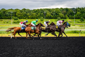 Nombres para Caballos y Yeguas 】Top 100